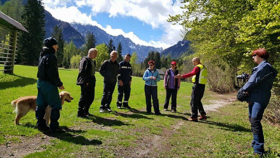 dream-team_dog-training_04 - Dreamteam.dogs